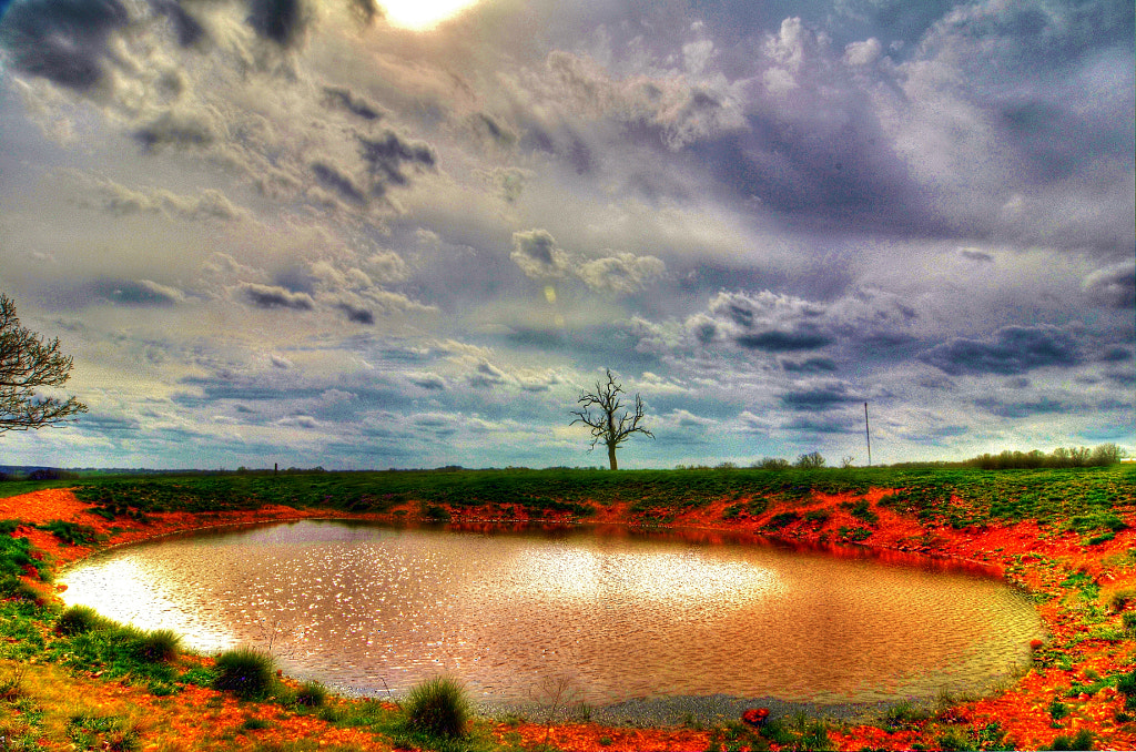 missouri pond by Lee Richert / 500px