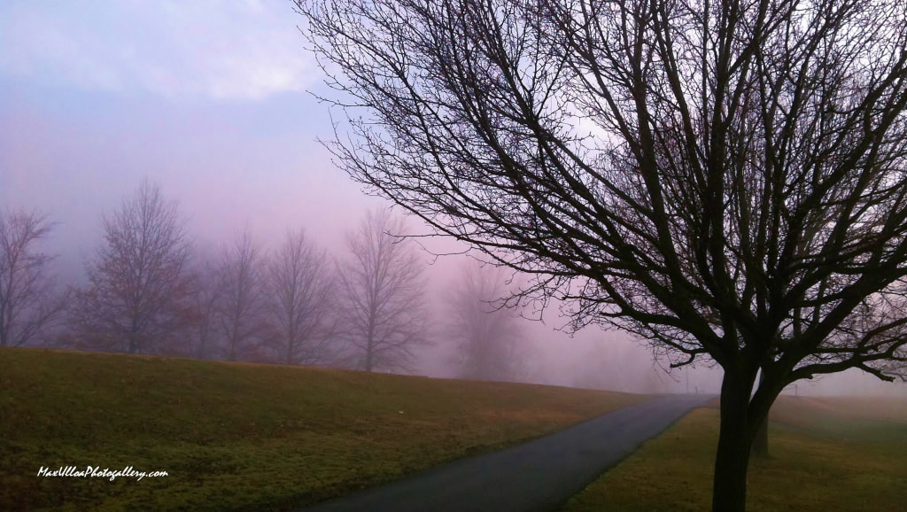 Dawn by Max Ulloa Photogallery / 500px