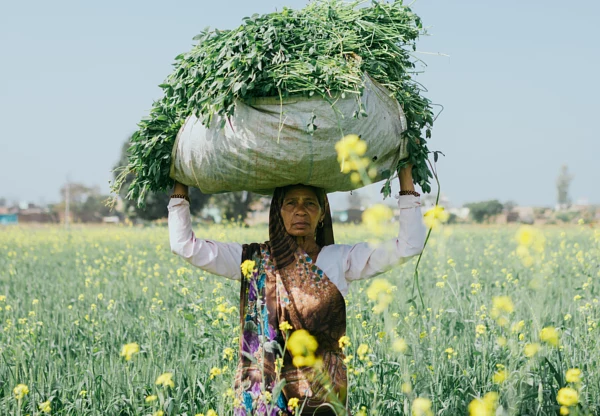 People/Portrait – 500px & Neil Dankoff Photography Competition ...