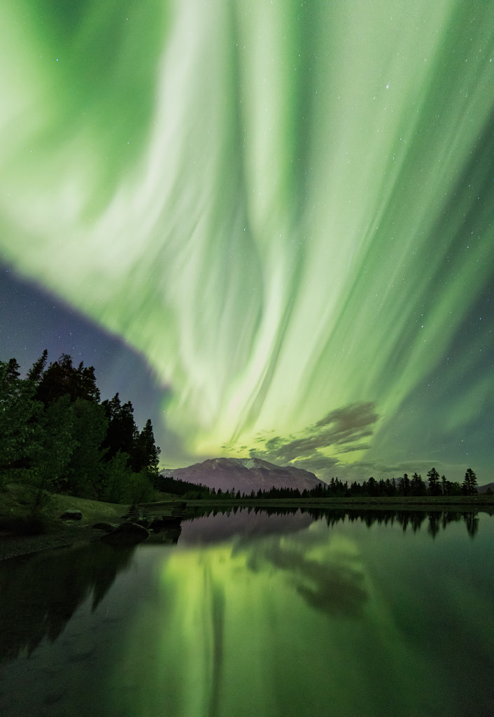 The Phoenix by Annie Fu / 500px