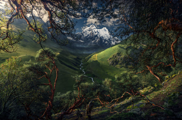 Max Rive (maxrivefotograaf) Profile / 500px