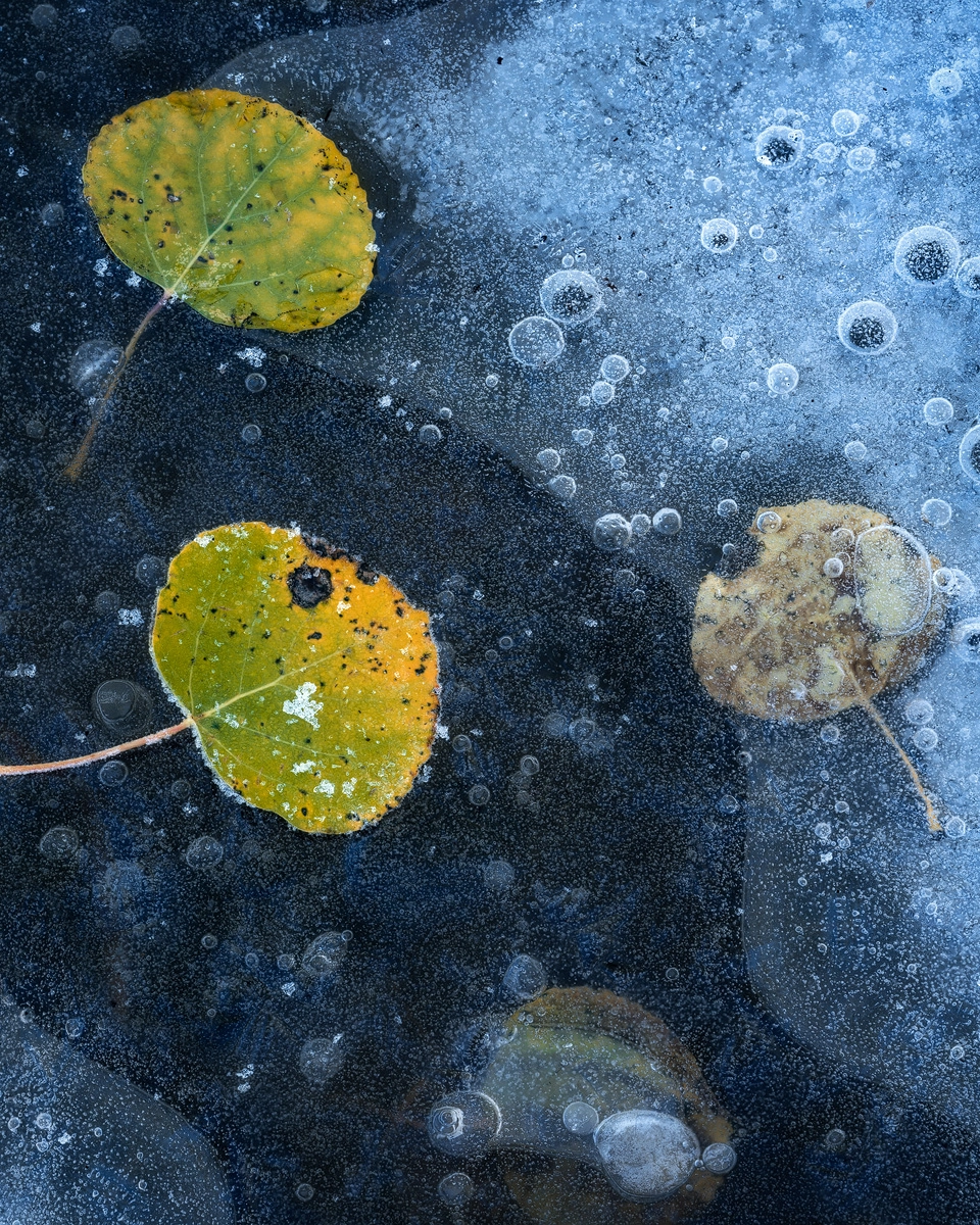 Eric Bennett (EricBennett) Photos / 500px