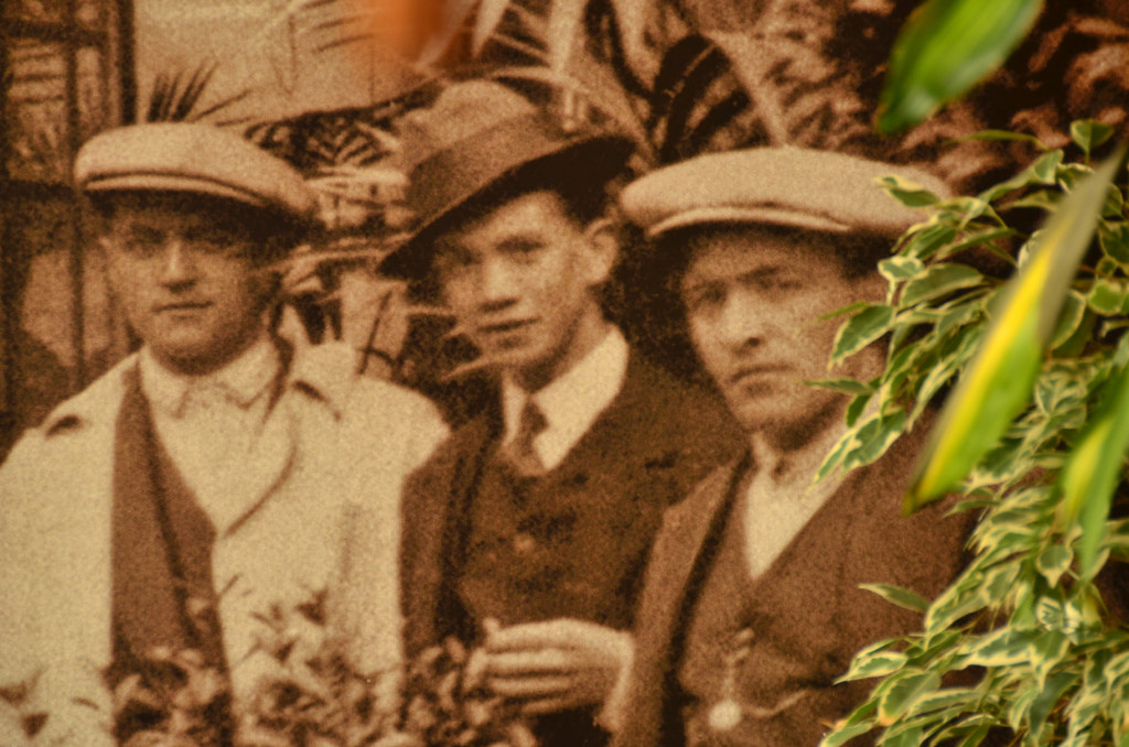 Jardin del Angel by Juan Pablo Martinez / 500px