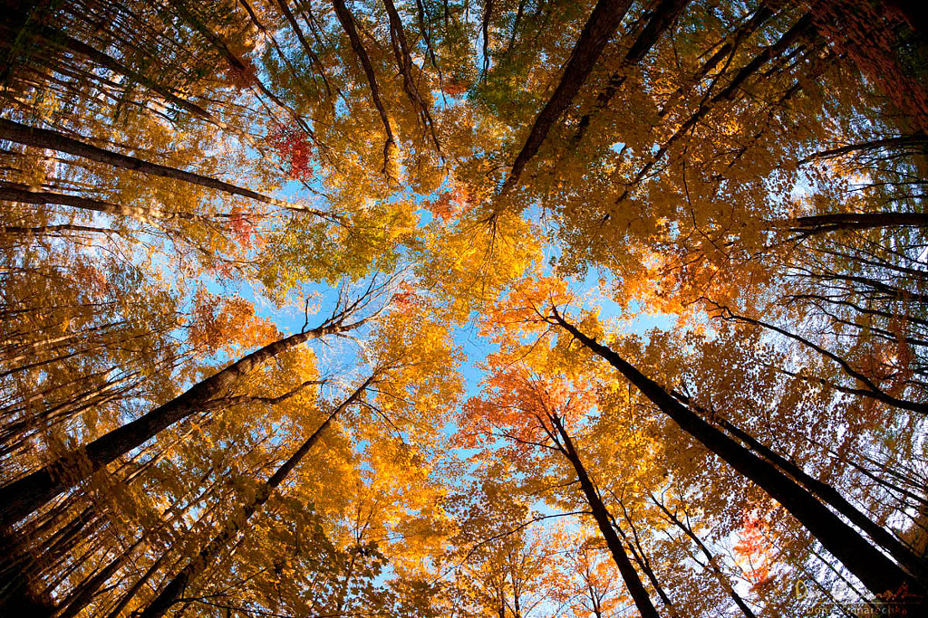 A Collection of Autumn Photos to Inspire You