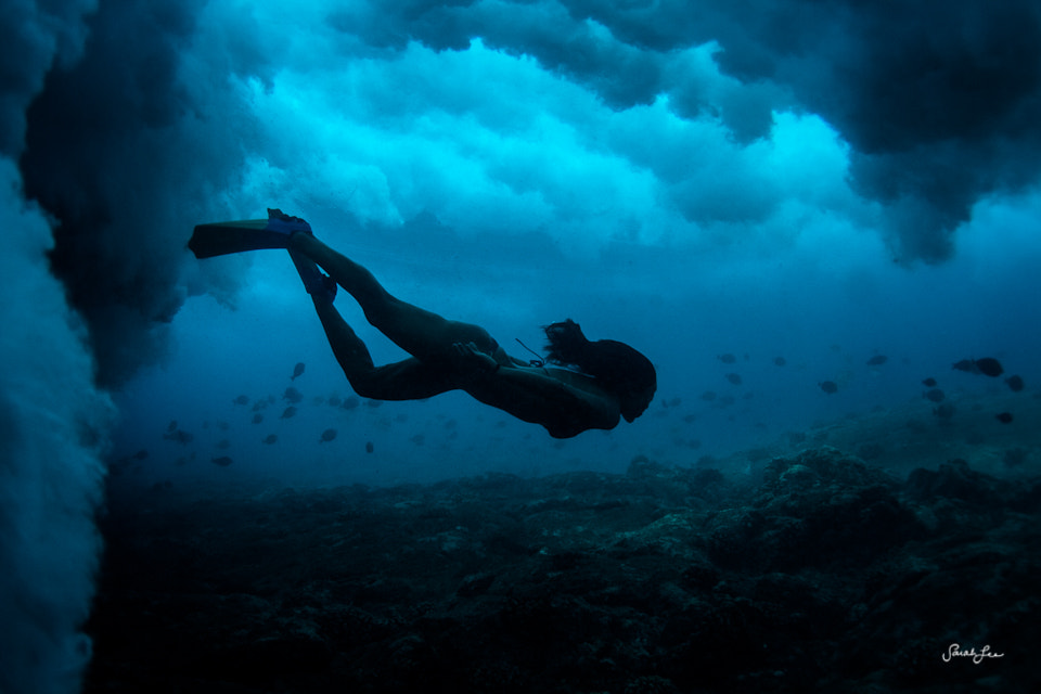 under the sea by Sarah Lee / 500px