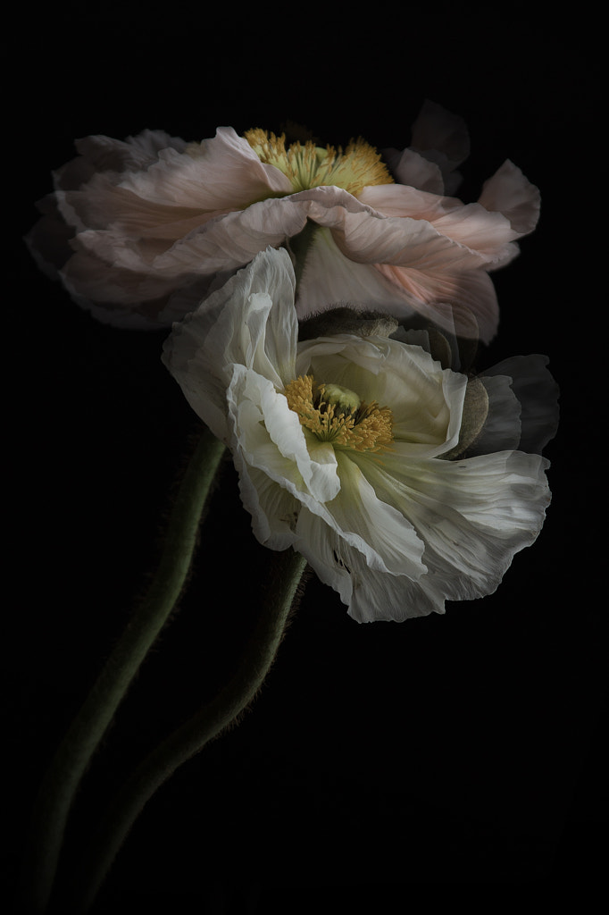 luftig by Christine Ellger / 500px