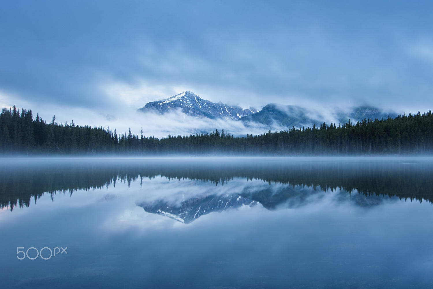 The Fairyland by Annie Fu / 500px