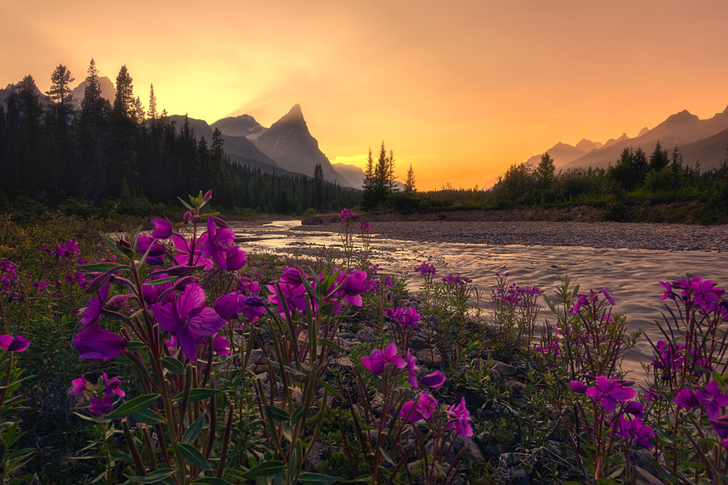 The Song of Dusk by Annie Fu / 500px