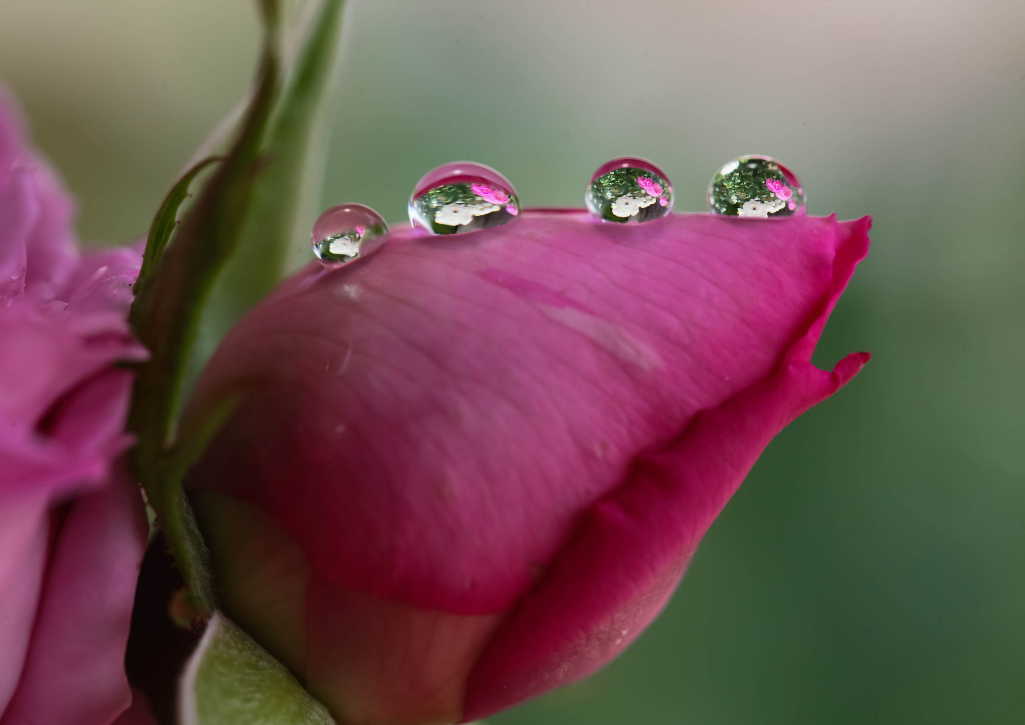 Beautiful drop by Hiroshi Araki / 500px
