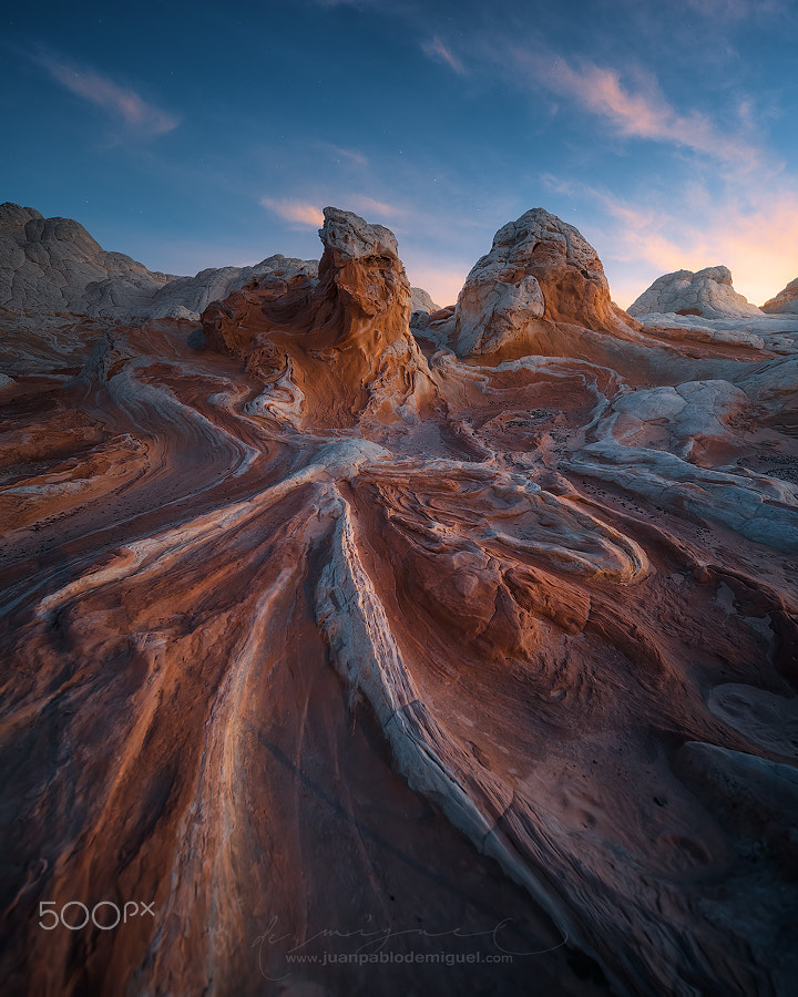 White soft face. by Juan Pablo de Miguel / 500px