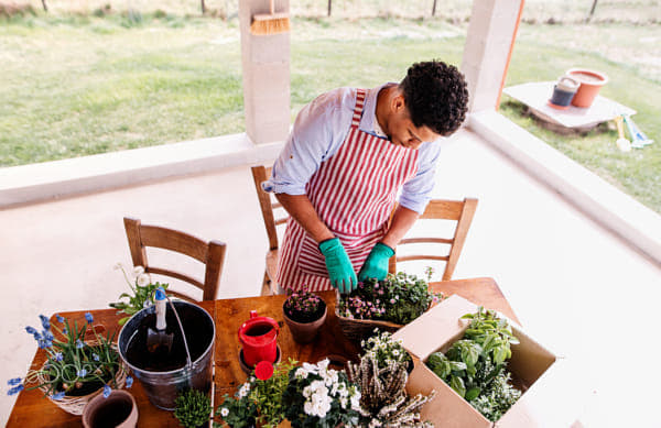 A top view of young man gardener outdoors at home, planting flowers. by ...