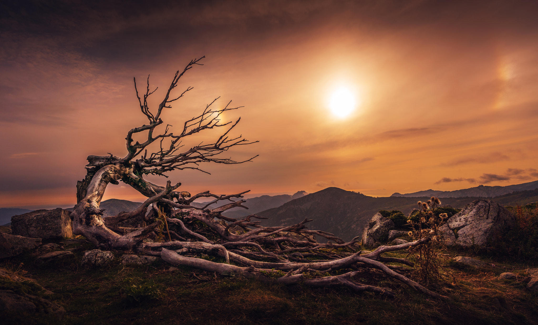 Wind Bent by Dominik Haderer / 500px
