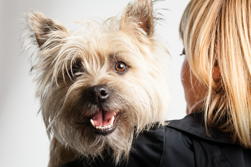 Toby by Sean Howard / 500px