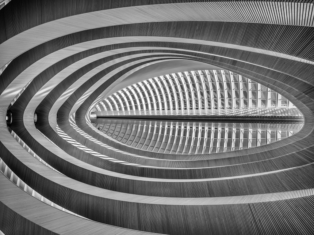 Wooden Atrium #2 by Michael Fang / 500px