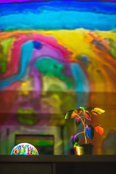 Light Painting Projector's Photos & Galleries | 500px