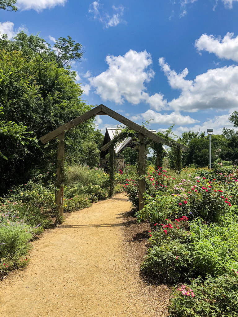 Garden Path with Wooden Archway and Blooming Roses | landscape photo by ...