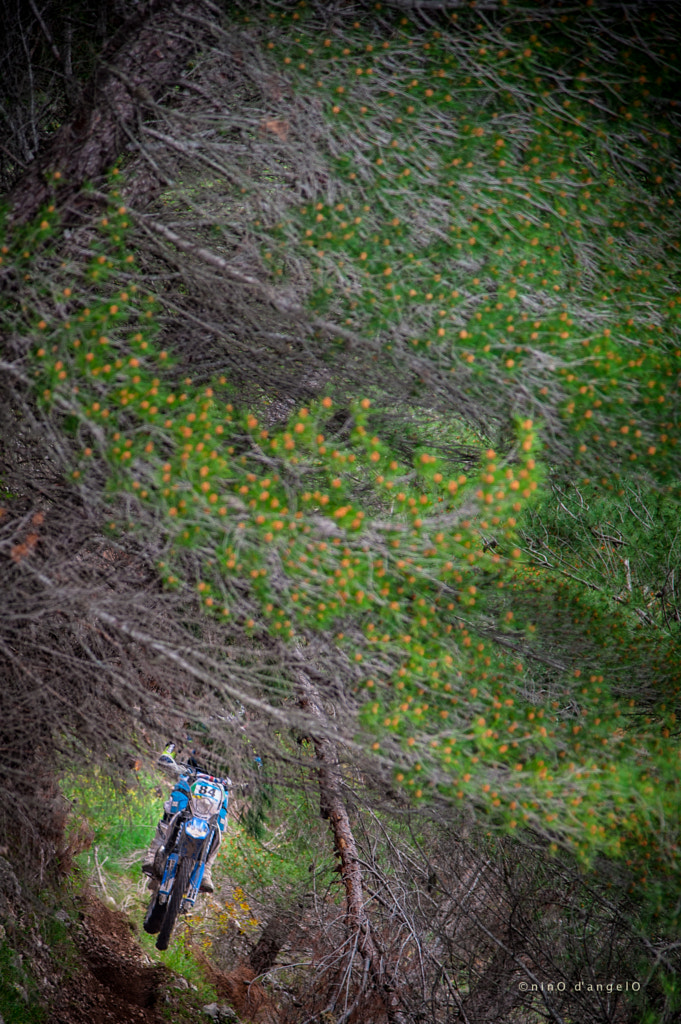 Occhio alla testa by nino d'angelo / 500px