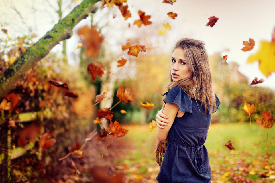 Autumn Feel. by Alex Beadon / 500px