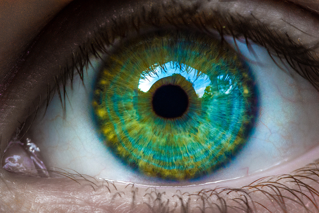 Raw Vision by Ian West / 500px