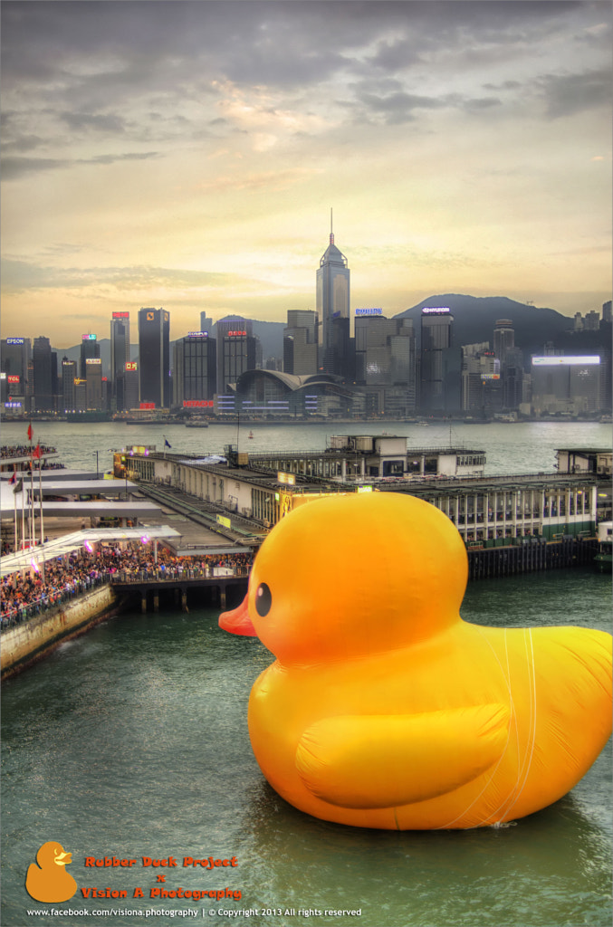Magic Duck (II) by Dickens Au | 500px
