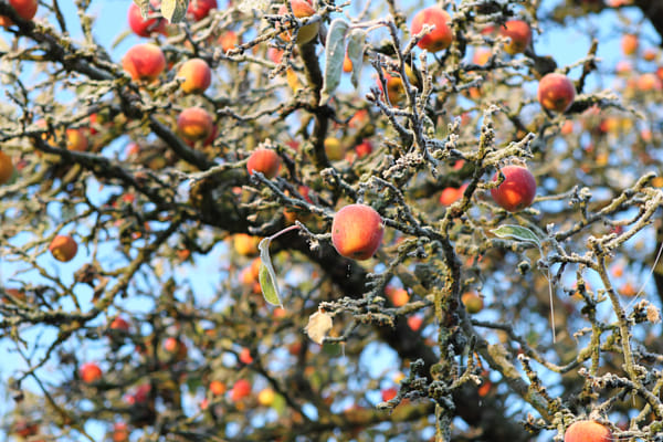 fresh colors! сказочное настроение! by Andrey Salikov / 500px