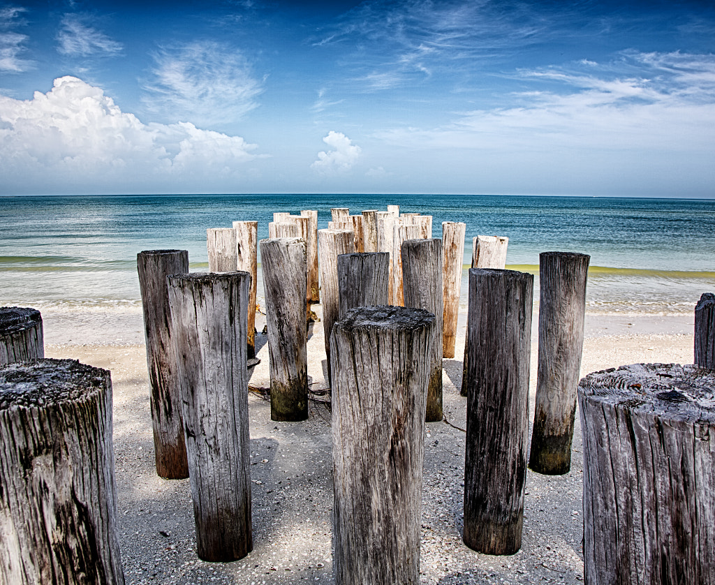 Dead Pylons by Sheldon Shaw / 500px