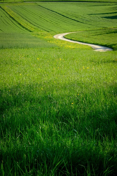 S-Curve by Christian Blum | 500px