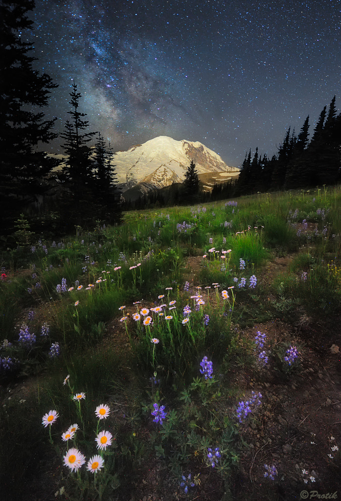 Starry night by Protik Hossain / 500px