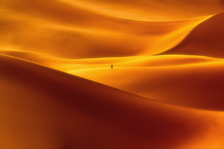 Against The Curves by Reza Nazemi | 500px