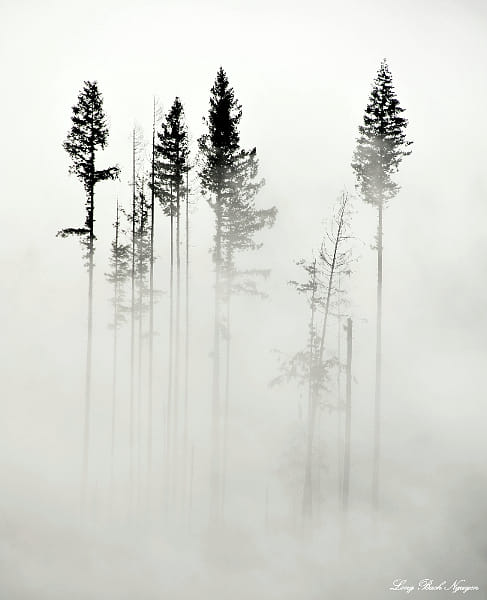 Beautiful Setting by Long Bach Nguyen | 500px