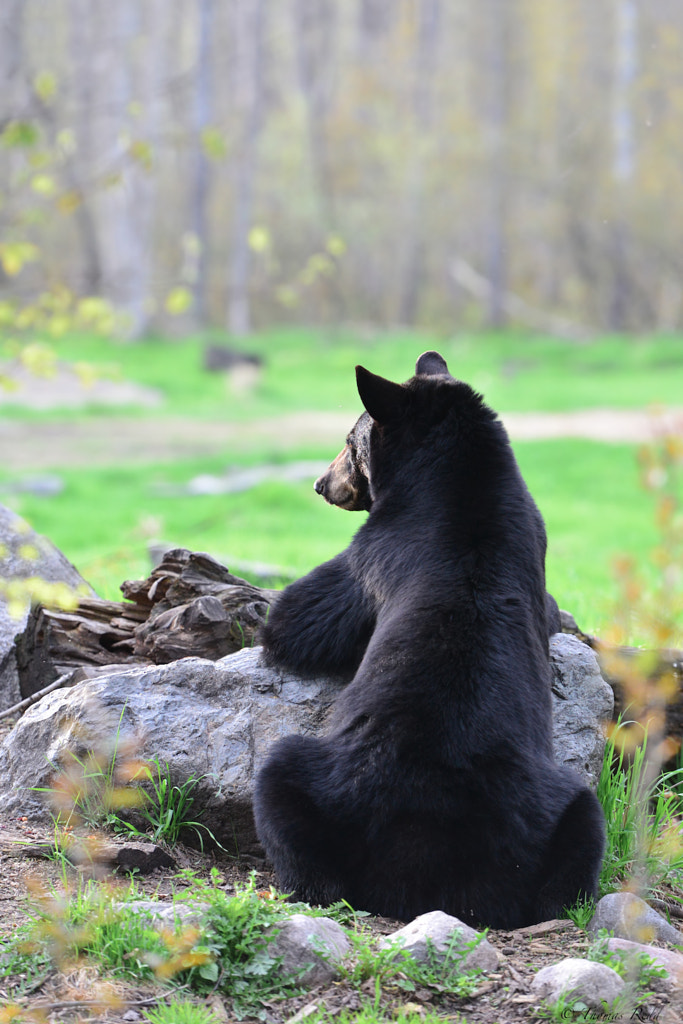 Tom Redd (TomRedd) Photos / 500px