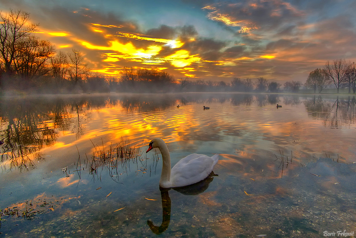 Colorful dawn by Boris Frkovic / 500px