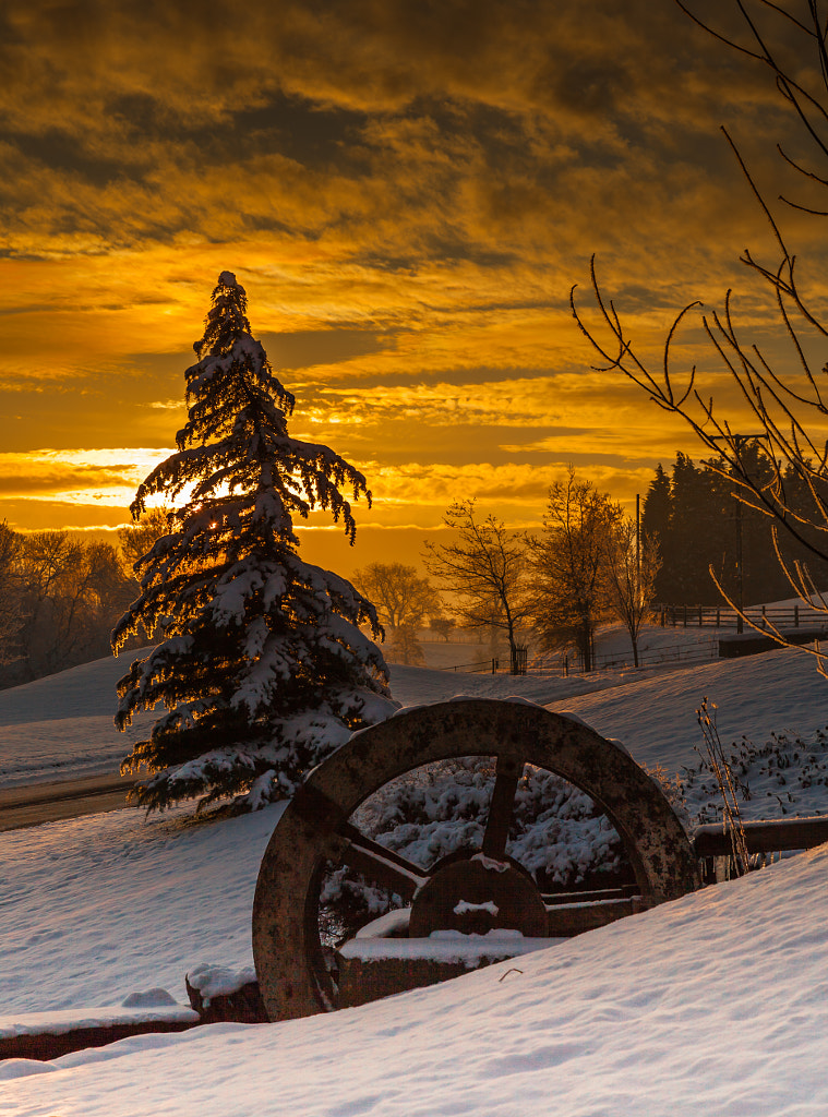 Autumn Wheel by Jeremy Knowles / 500px
