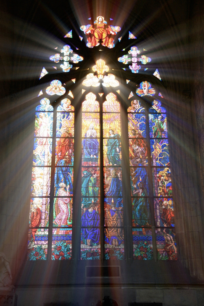 Let there be light by Clare Forster / 500px