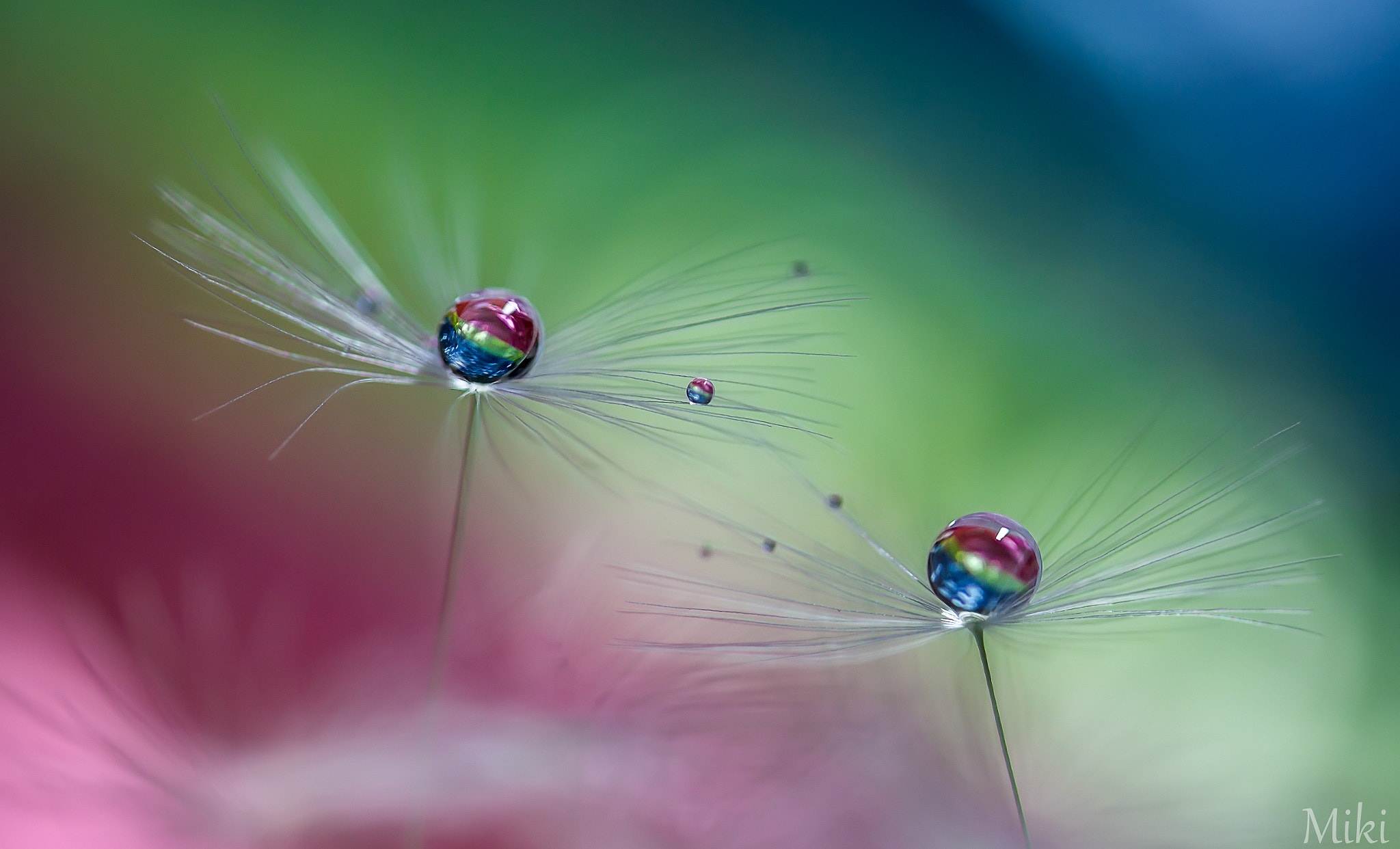 Rainbow magic by Miki Asai / 500px