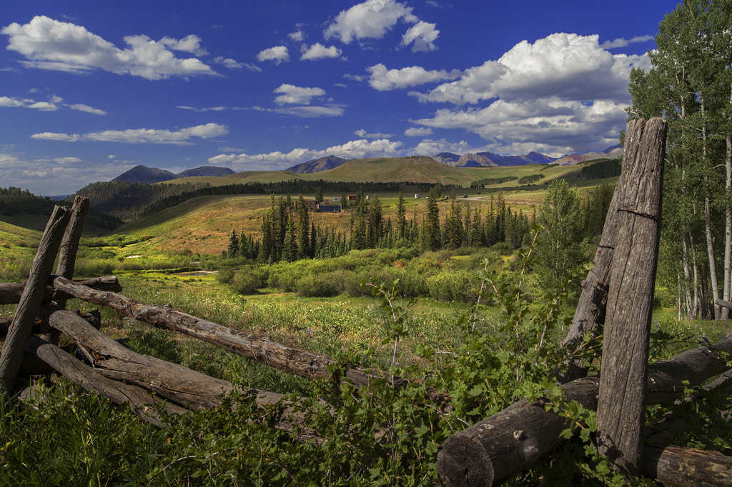 On Mt Wilson by Kevin Shorter / 500px