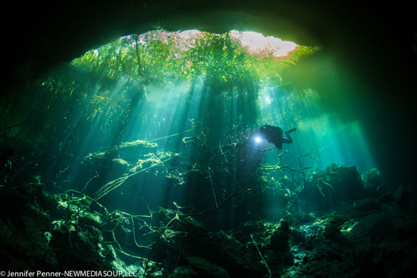 Exploring the Garden of Eden by Jennifer Penner | 500px