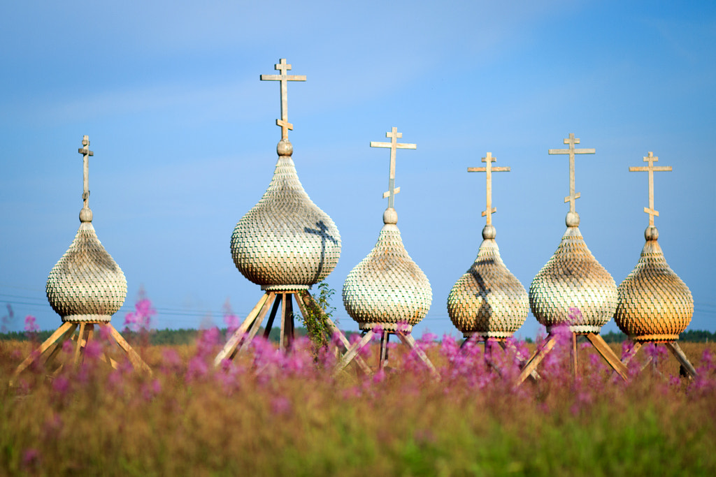 The dome by Anna Oleinik / 500px