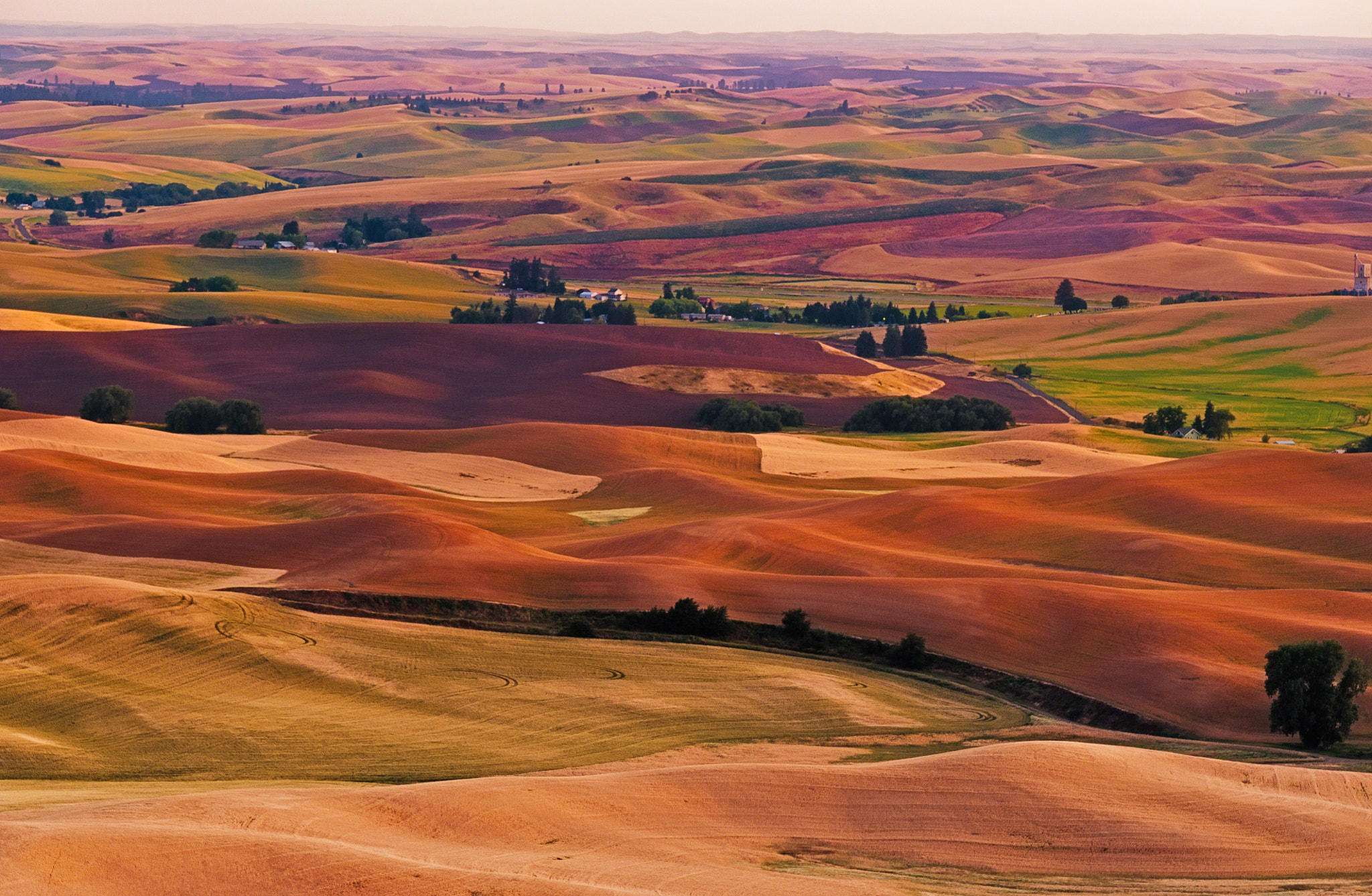 The Palouse from Steptoe Butte, Washington State, USA by Alvin Kroon ...
