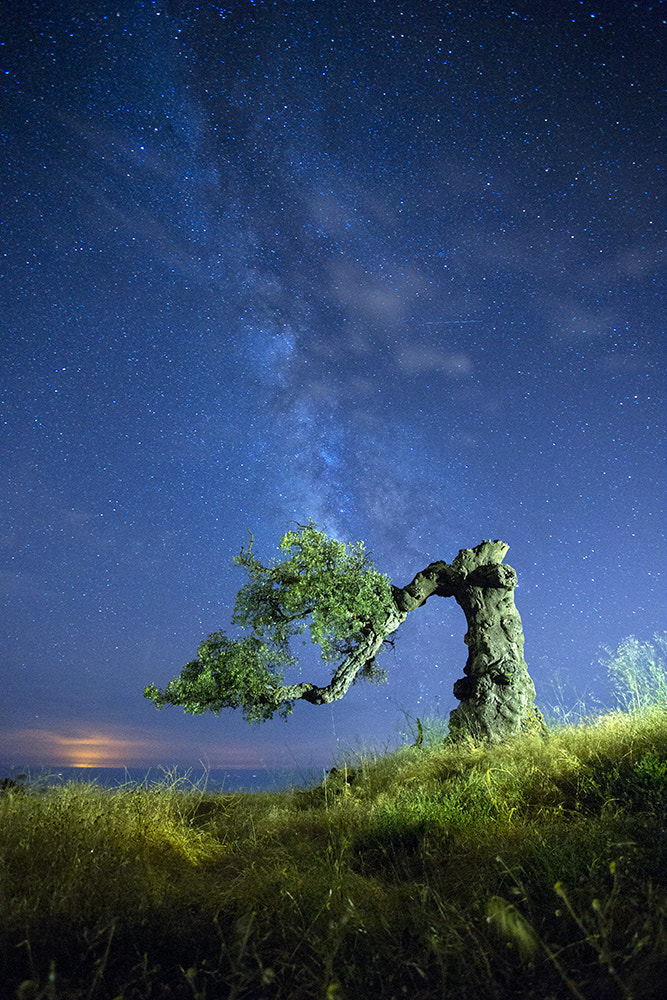 Alcornoque under the Milky Way by Rafa García / 500px