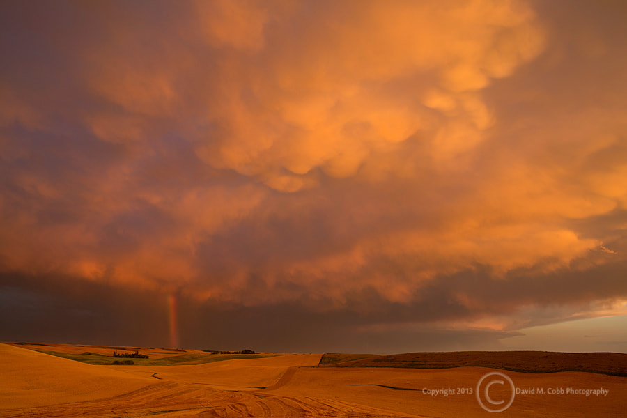 David Cobb (David_M_Cobb) Photos / 500px