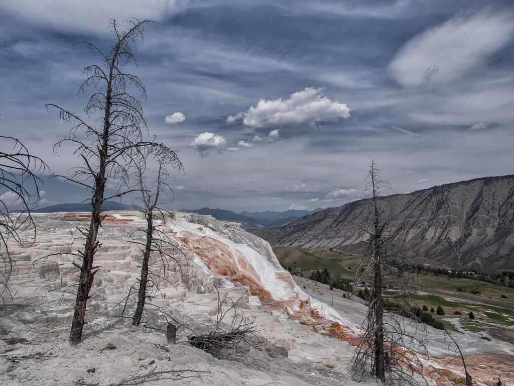 Upper Terrace at Mammoth Hot Springs by Benjamin Moore / 500px