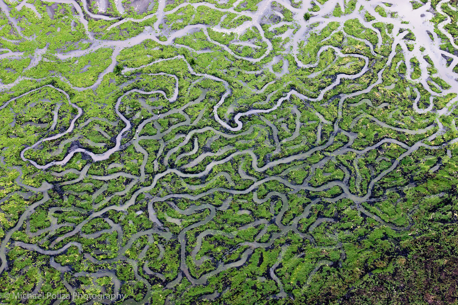 Hippo Trails by Michael Poliza / 500px