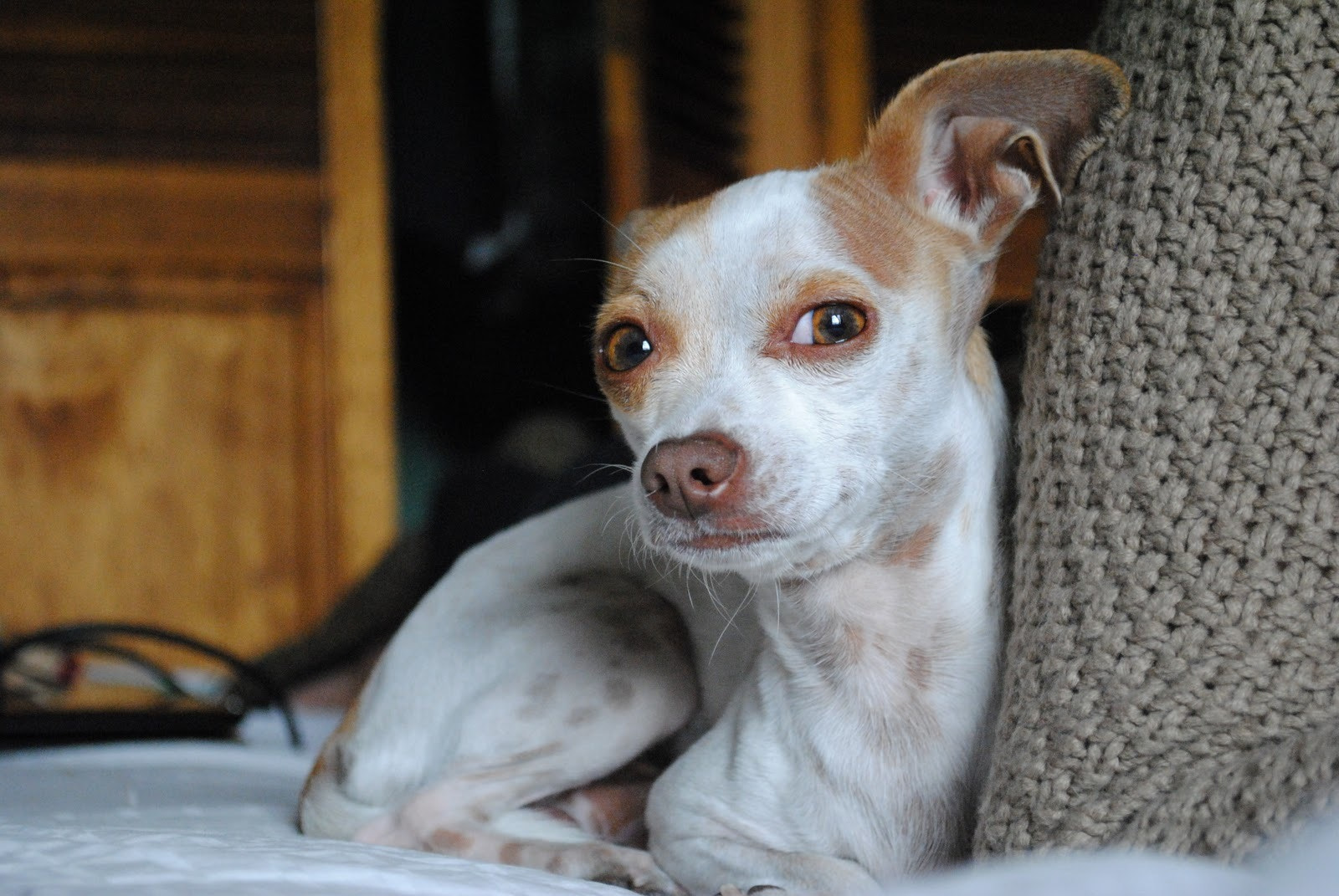 Henruchito by Kay Mendoza - Photo 44057180 / 500px