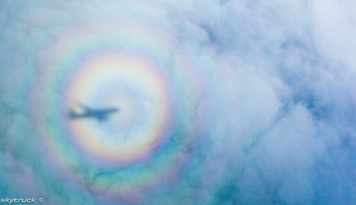 Glory. Optical Phenomena. by Mikhail Shklyarenko - Photo 45282892 / 500px