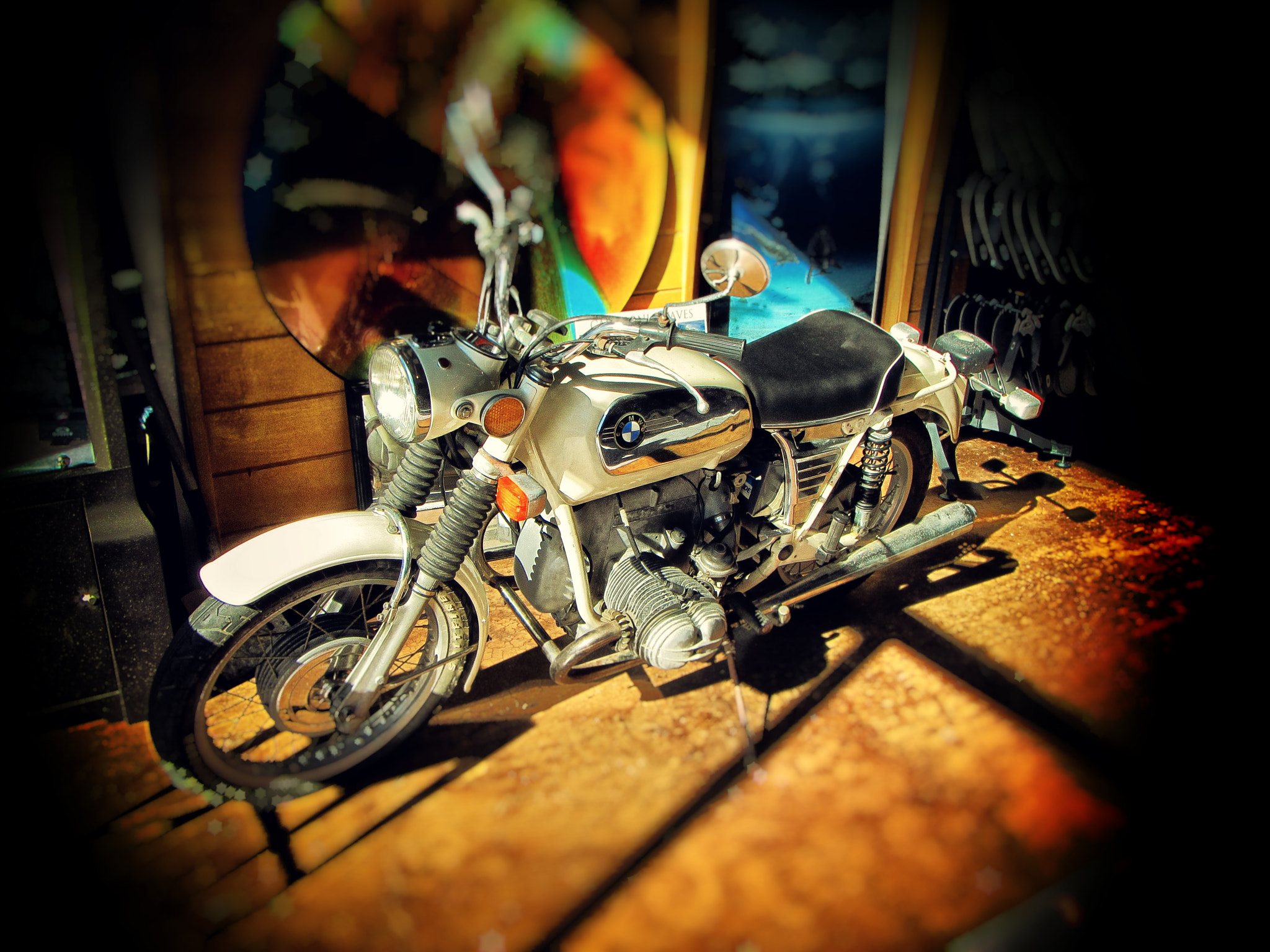 She sits by the window in the sunlight & purrs by Jan Carlo DeFan / 500px