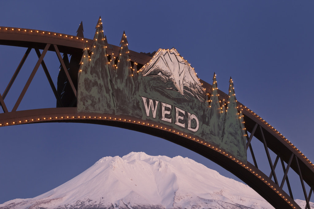 Weed, California Sign by Richard Sisk / 500px