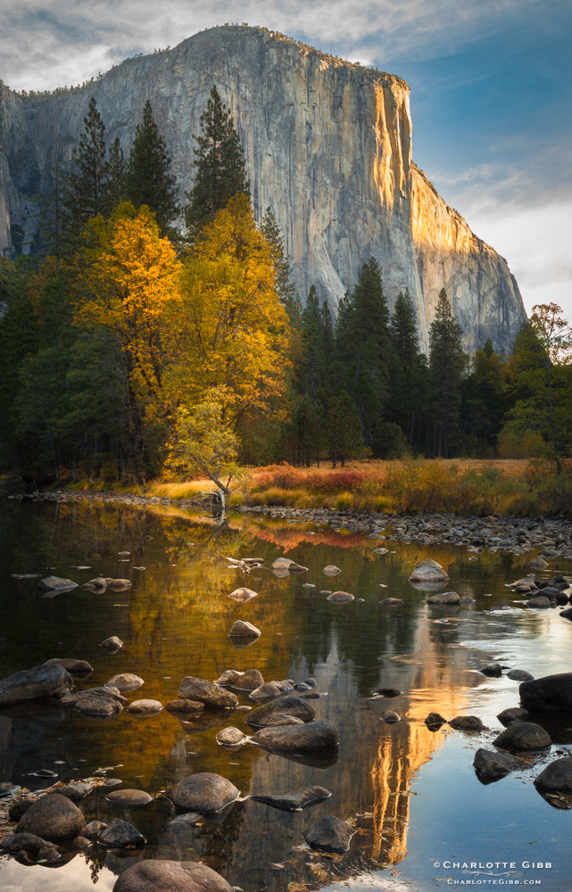 El Capitan, Fall by Charlotte Gibb / 500px