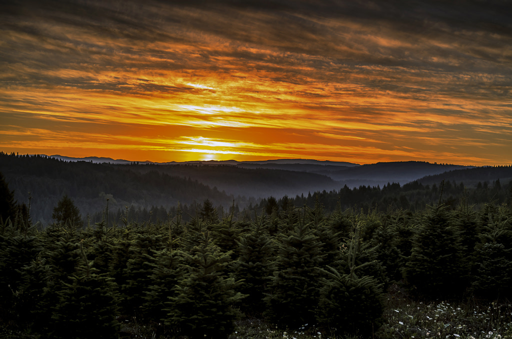 Sunrise on Grand View Road by Rick Luiten / 500px
