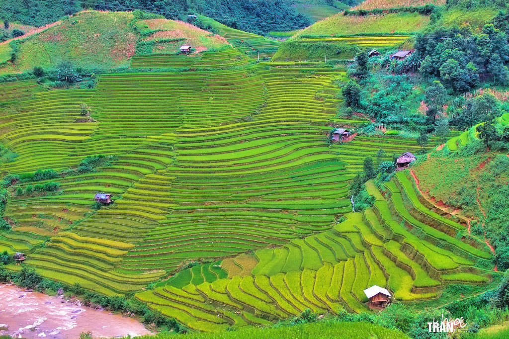 The harvest by Khoi Tran Duc / 500px
